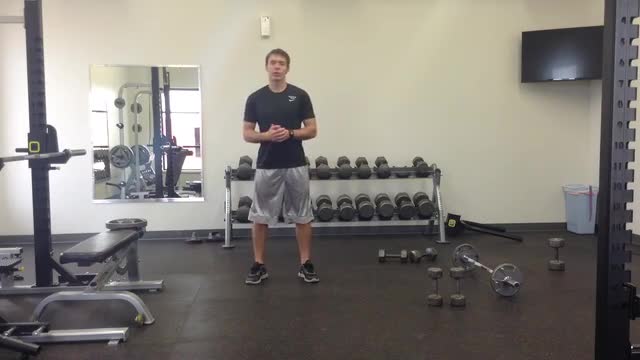 Circuit Training For Strength - Day2, Phase1:Chest & Shoulders | ALO Wellness Club