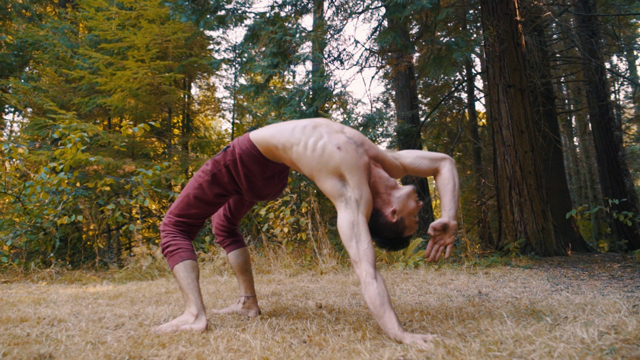 Crab Reach with Kevin Hofer | ALO Wellness Club