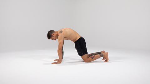 Cat Pose | Alo Moves